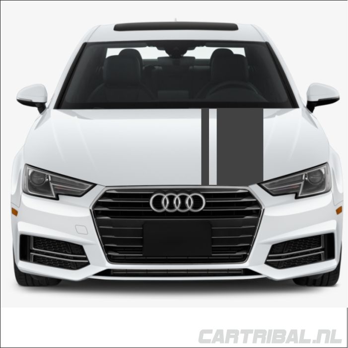 Viperstripes Model 5 | cartribal.nl sticker styling