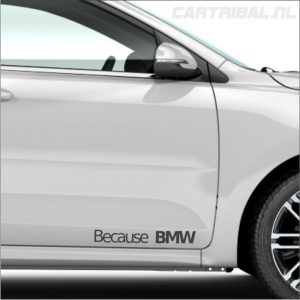 BMW stickers Archives - cartribal.nl sticker styling